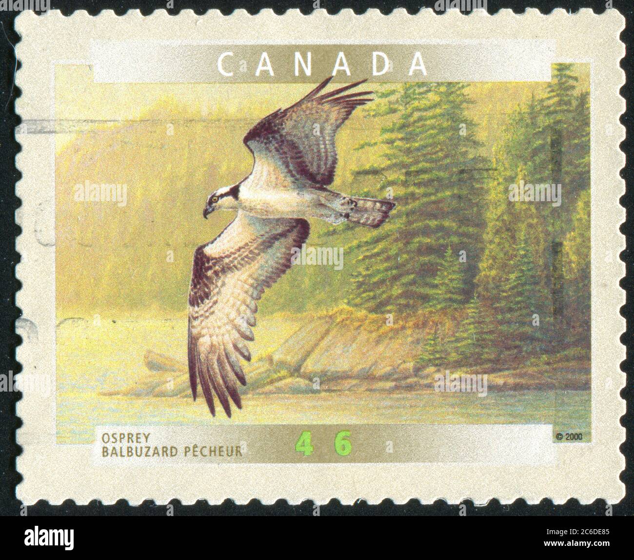 CANADA - CIRCA 2000: stamp printed by Canada, shows Osprey, circa 2000 ...