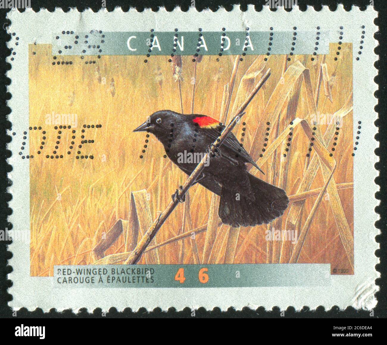 CANADA - CIRCA 1999: stamp printed by Canada, shows Red-winged ...