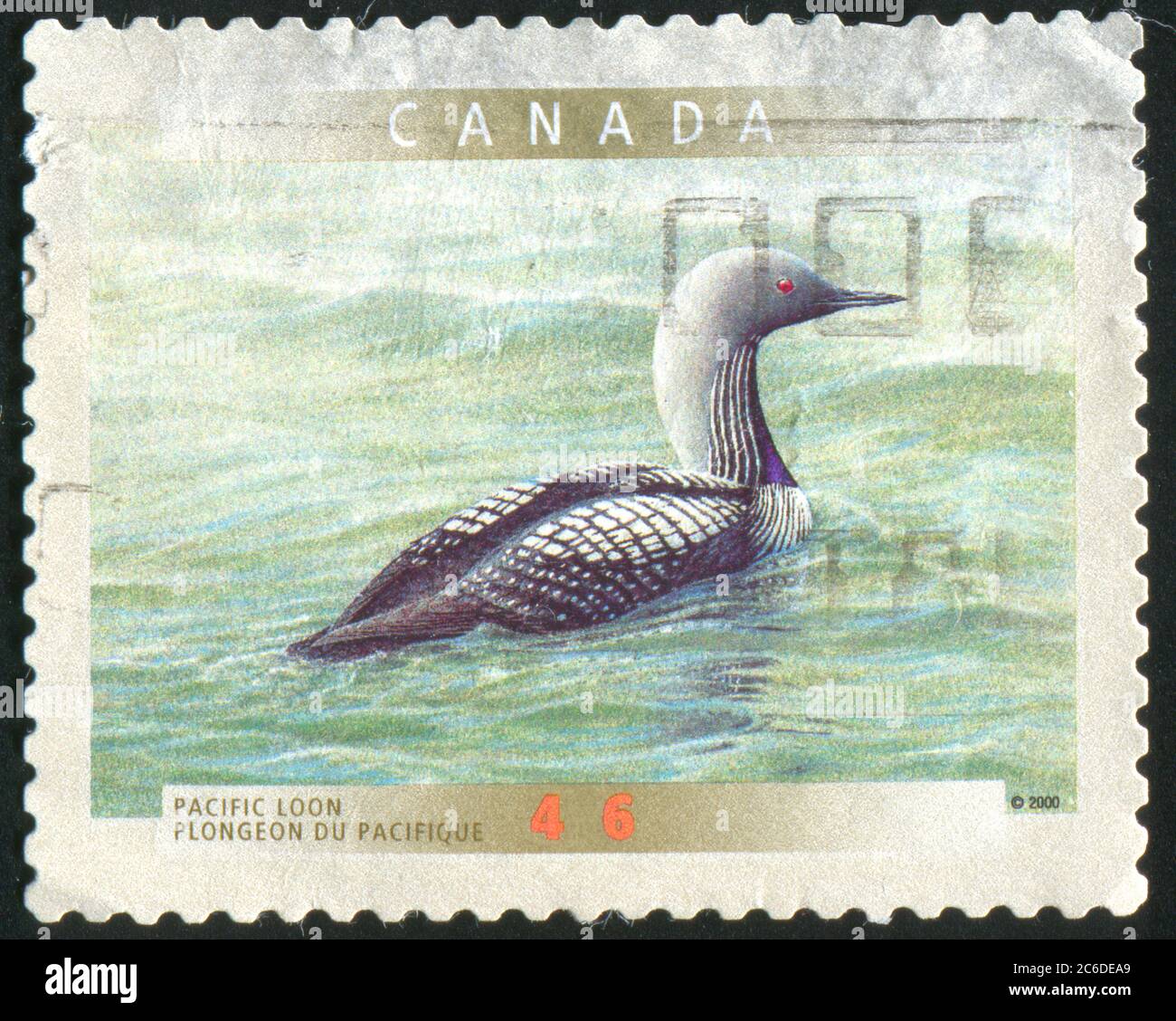 CANADA - CIRCA 2000: stamp printed by Canada, shows Pacific loon, circa ...