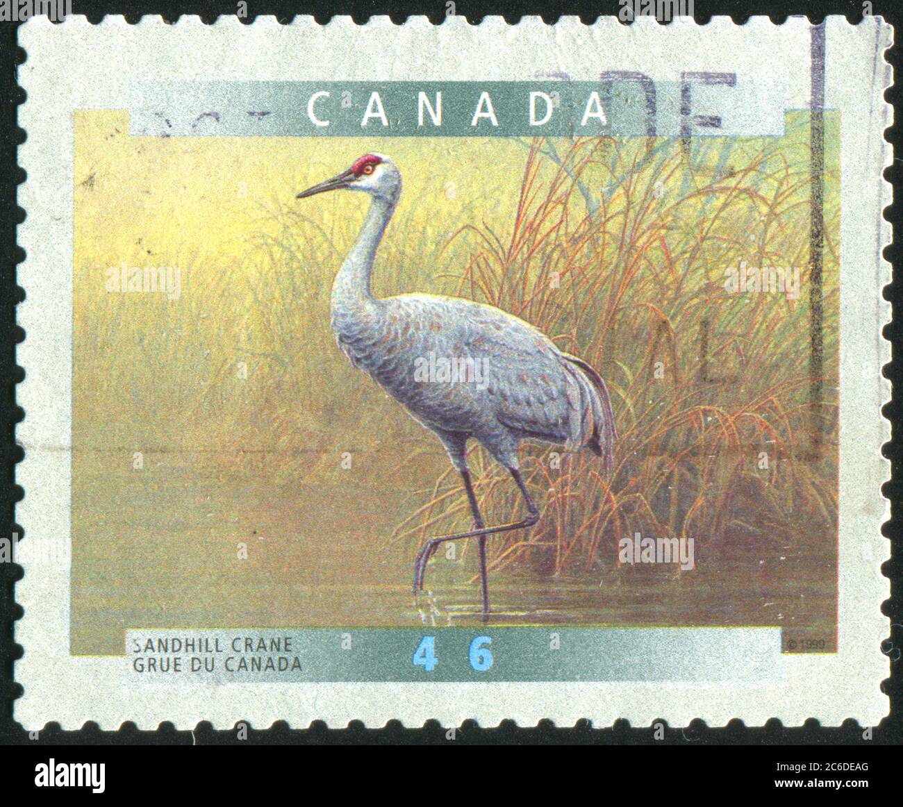 CANADA - CIRCA 1999: stamp printed by Canada, shows Sandhill crane ...
