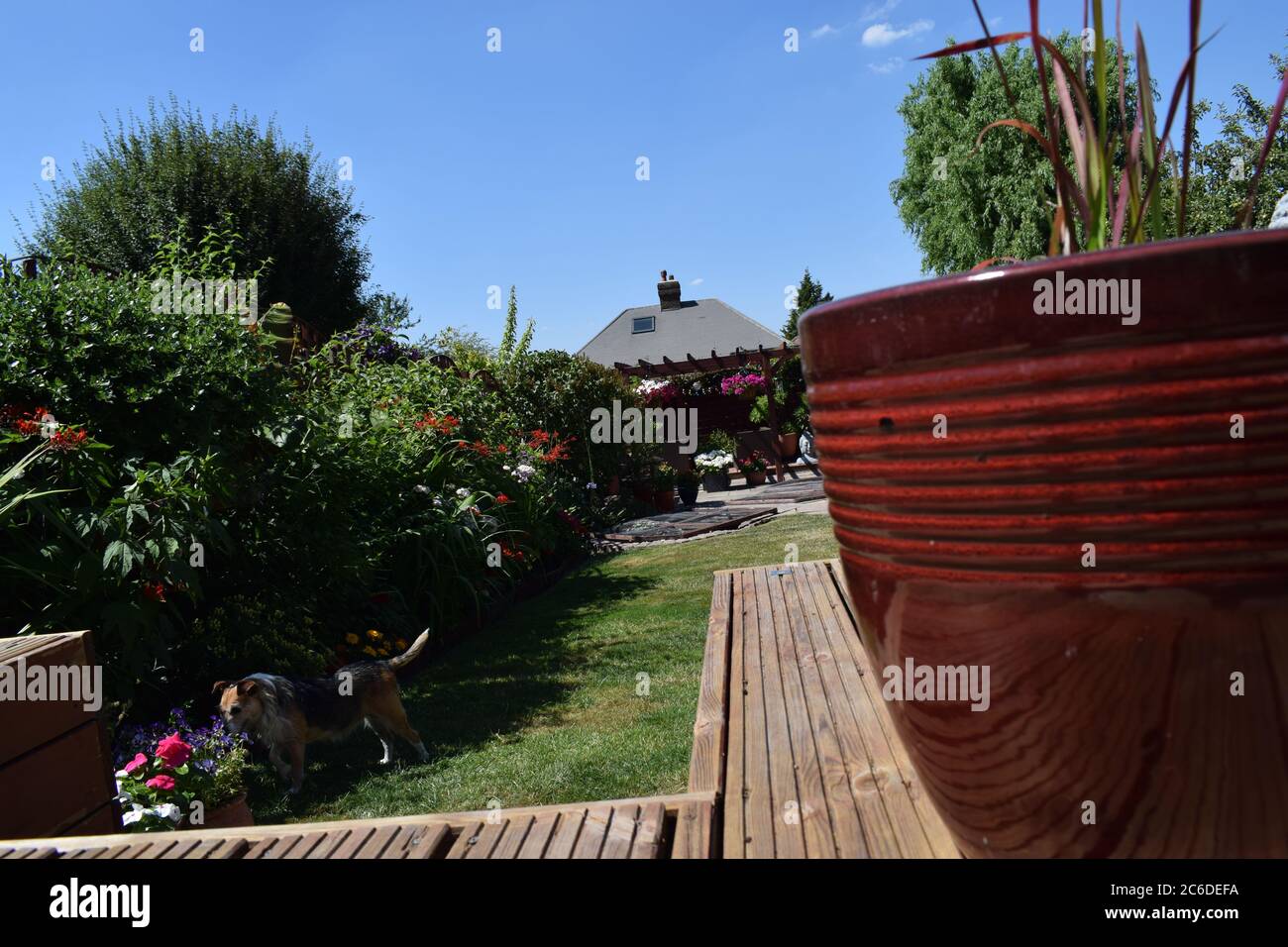 Summer garden in shirley croydon hi-res stock photography and images ...