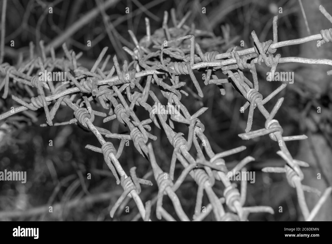 Stacheldraht hi-res stock photography and images - Alamy