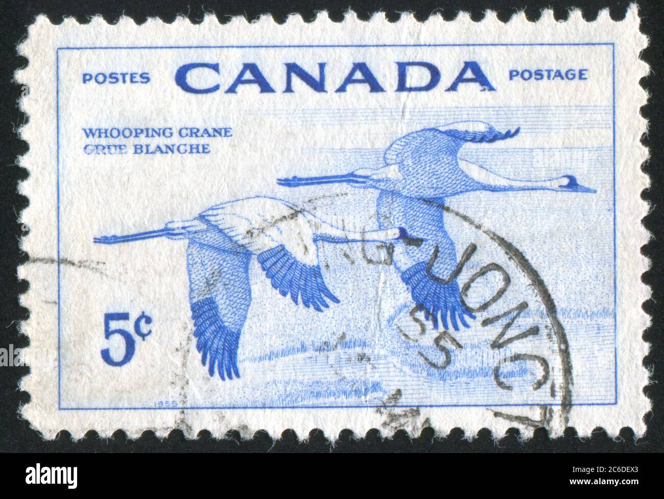 CANADA - CIRCA 1955: stamp printed by Canada, shows Whooping Granes ...