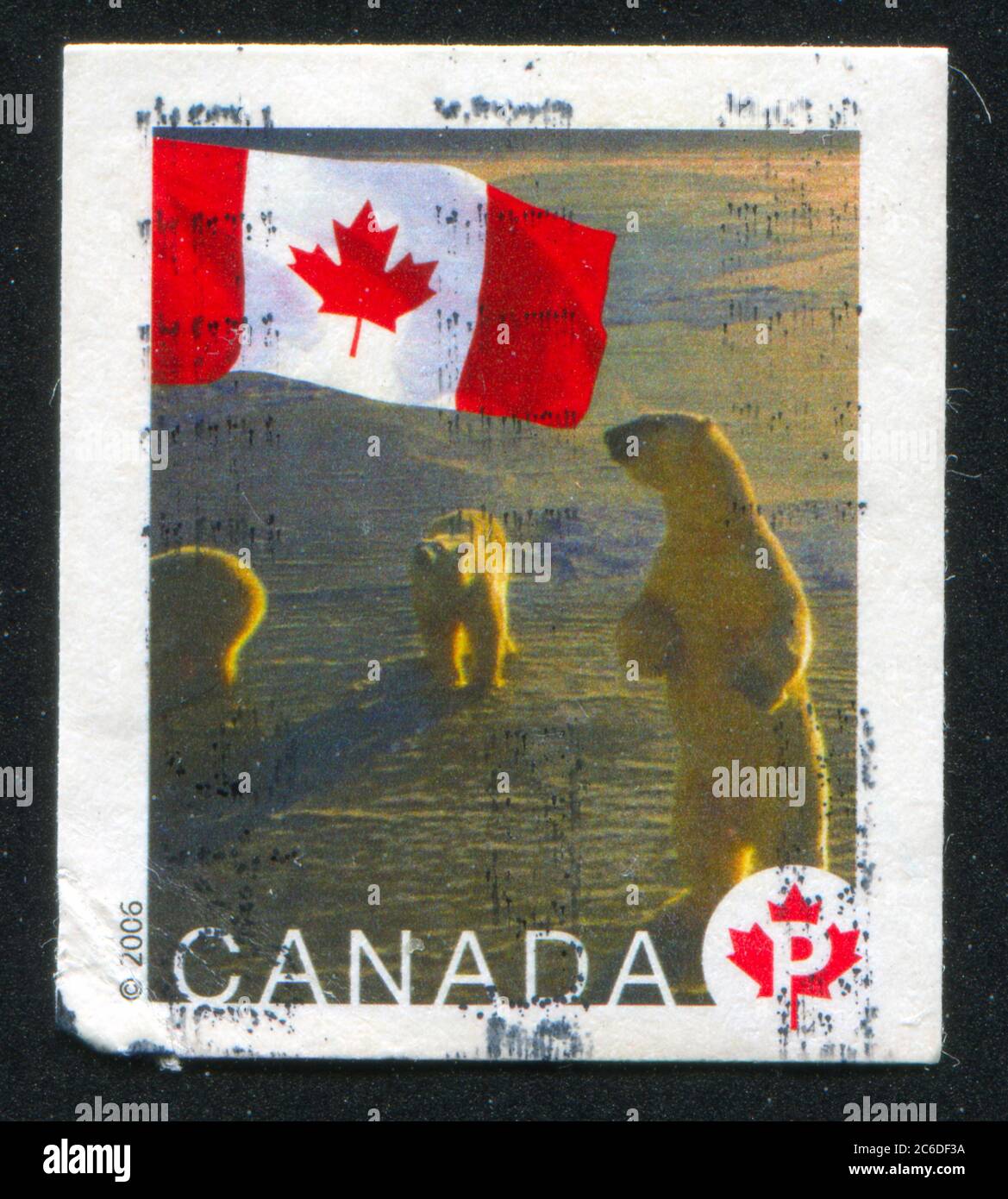 CANADA - CIRCA 2006: stamp printed by Canada, shows Flag and Polar ...
