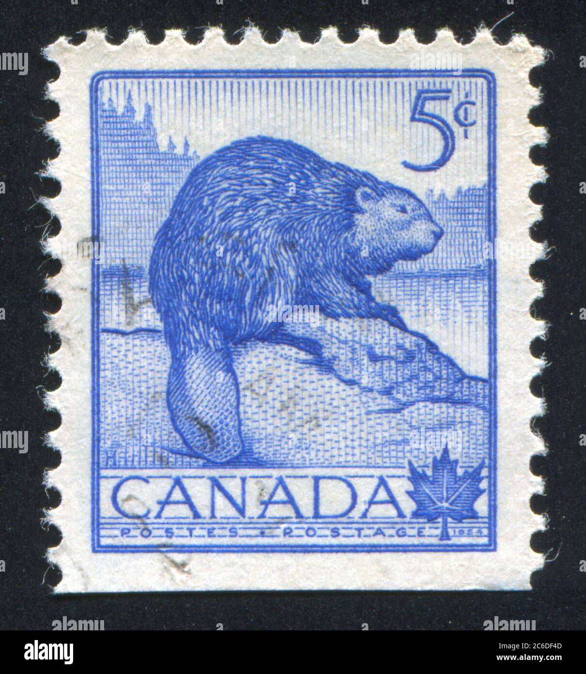 CANADA - CIRCA 1954: stamp printed by Canada, shows Beaver circa 1954 ...
