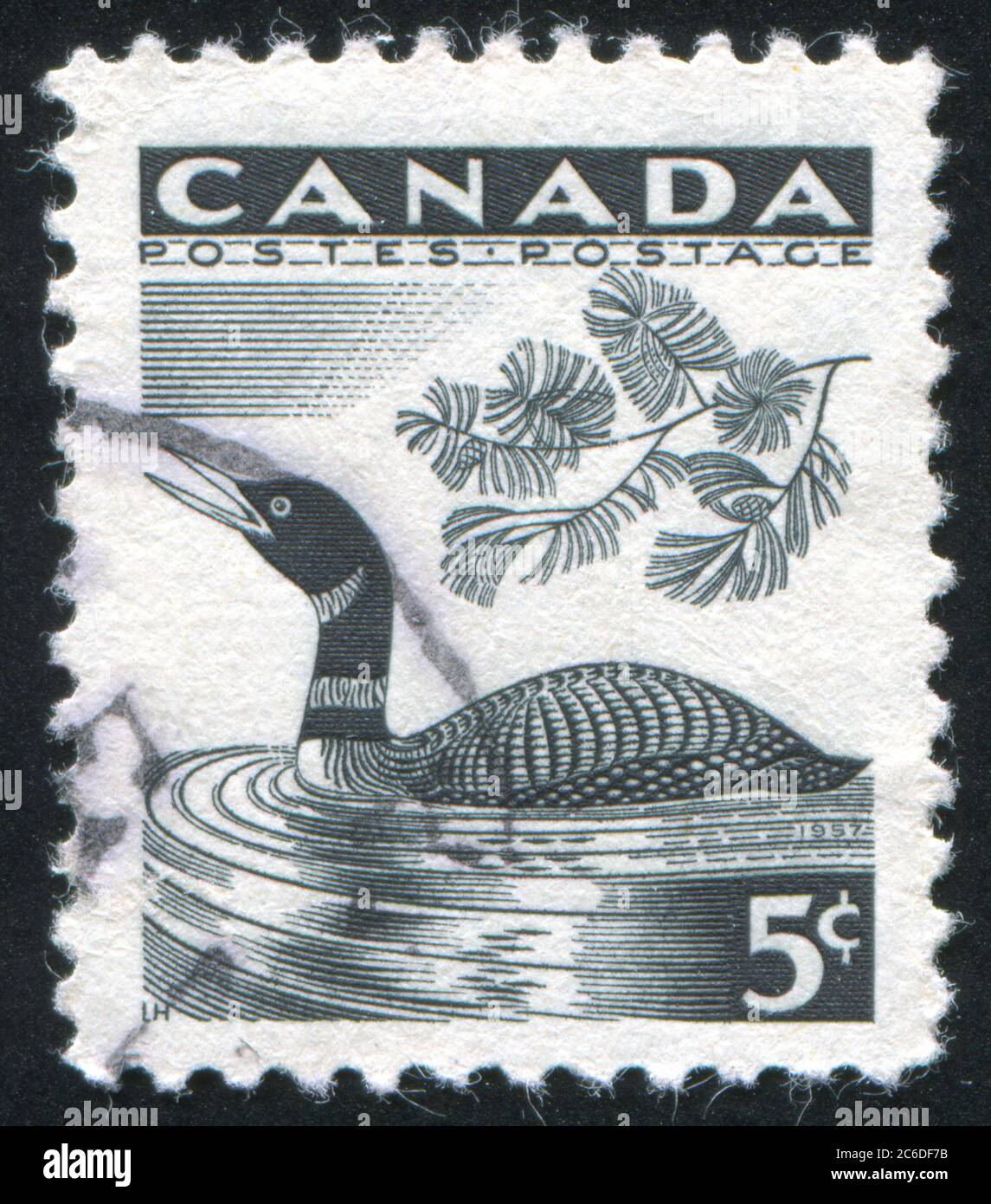 CANADA - CIRCA 1957: stamp printed by Canada, shows Loon, circa 1957 ...