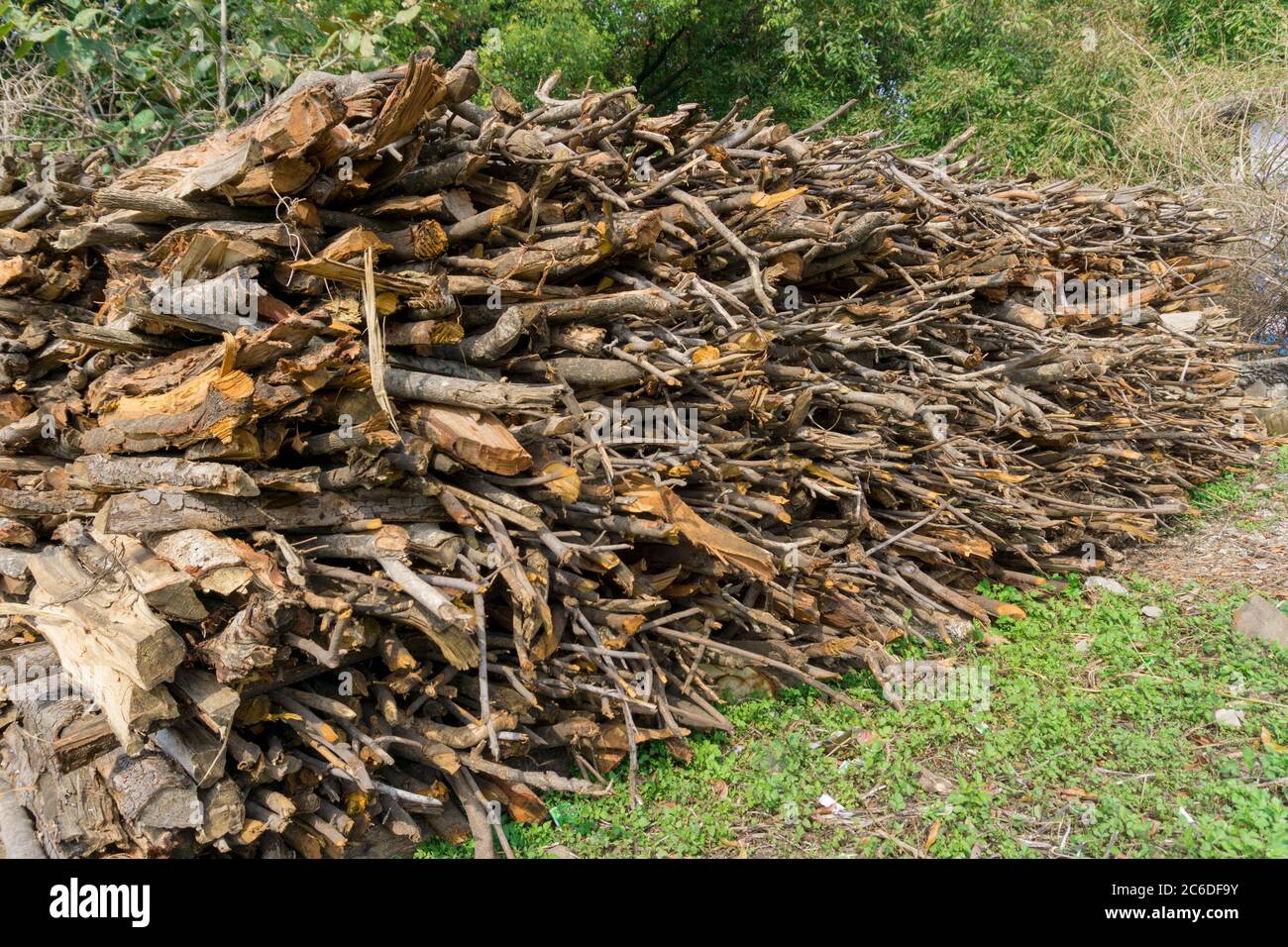 Stacks of firewood collected by villagers from forest Stock Photo - Alamy