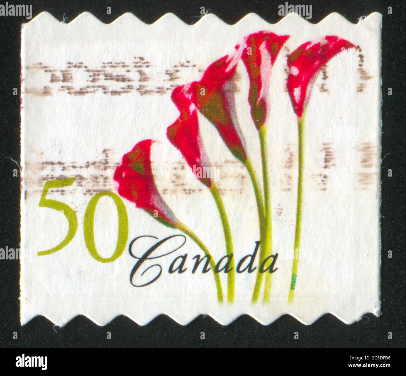 CANADA - CIRCA 2004: stamp printed by Canada, shows Red Calla Lilies ...