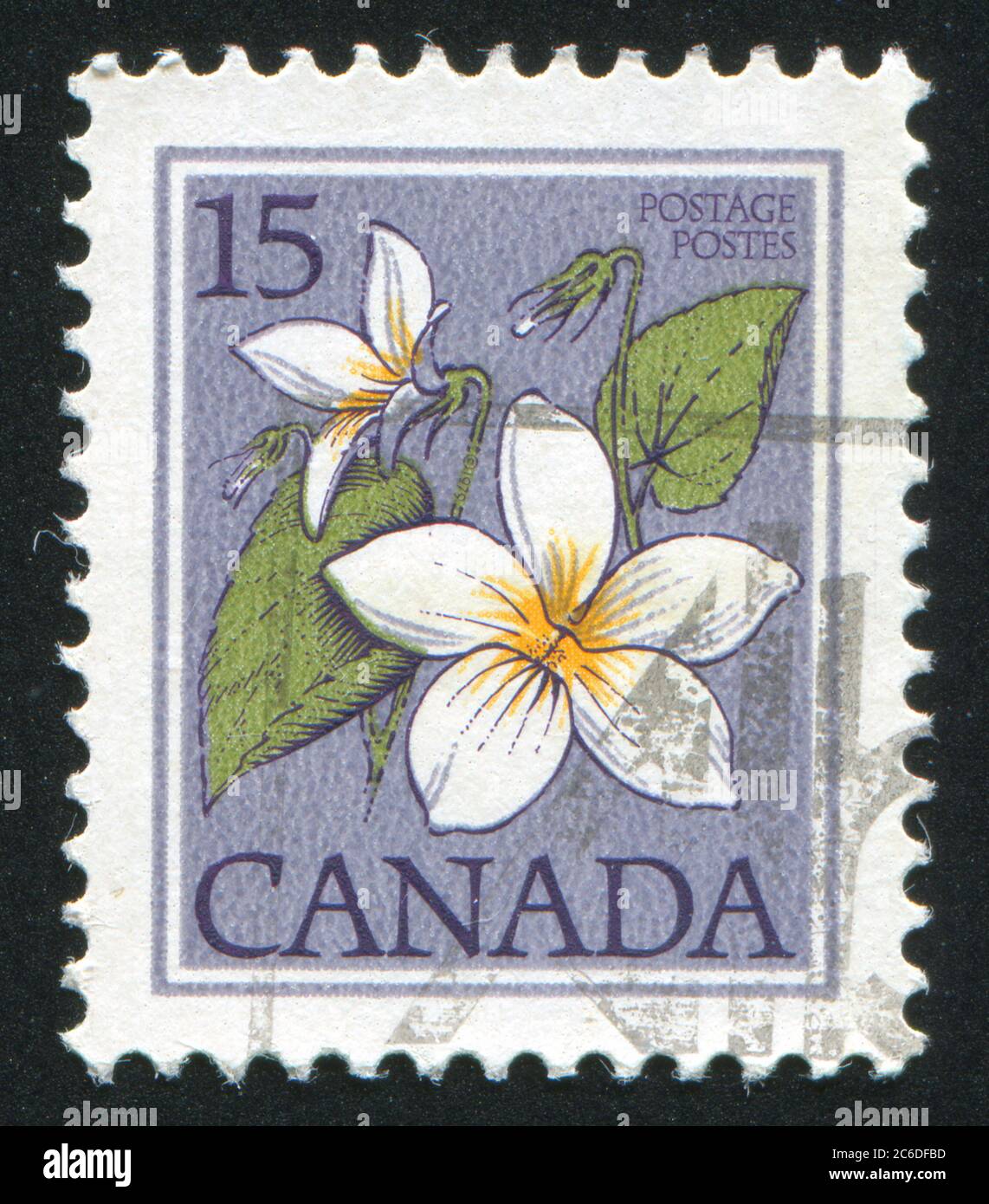 CANADA - CIRCA 1979: stamp printed by Canada, shows Canada violet ...