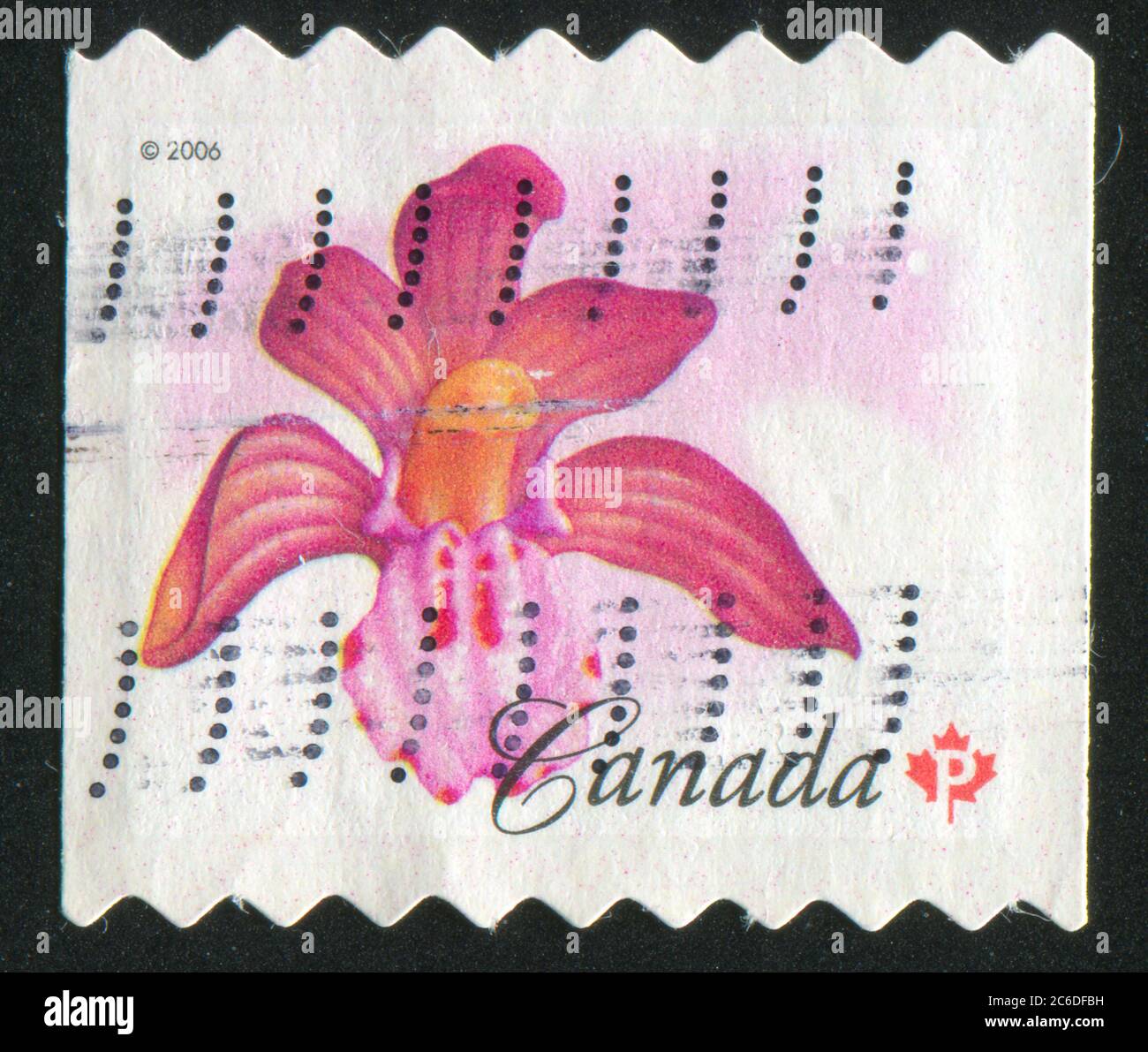 CANADA - CIRCA 2006: stamp printed by Canada, shows Spotted Coralroot ...
