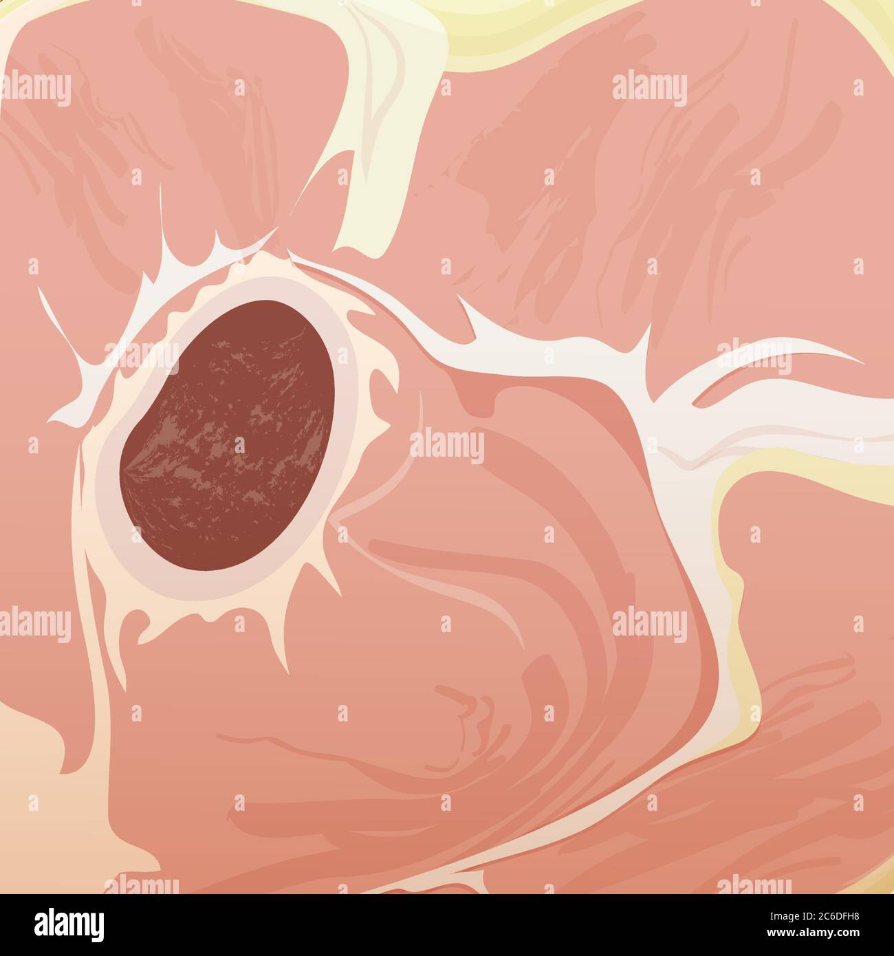 Bone texture hi-res stock photography and images - Alamy