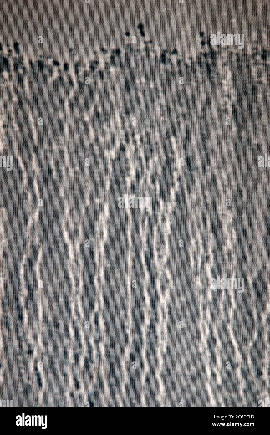 A Close up Of Rivulets Of Condensation Running Down A Window Pane ...