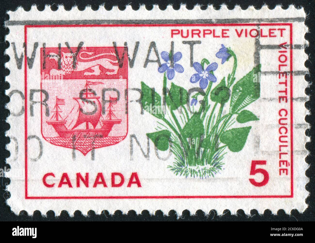CANADA - CIRCA 1965: stamp printed by Canada, shows Purple violet and ...