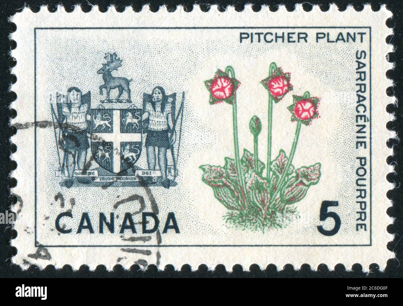 CANADA - CIRCA 1965: stamp printed by Canada, shows Pitcher plant and ...