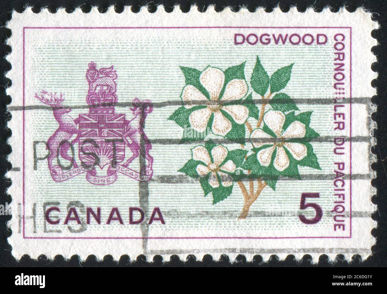 CANADA - CIRCA 1965: stamp printed by Canada, shows Wild Rose and arms ...