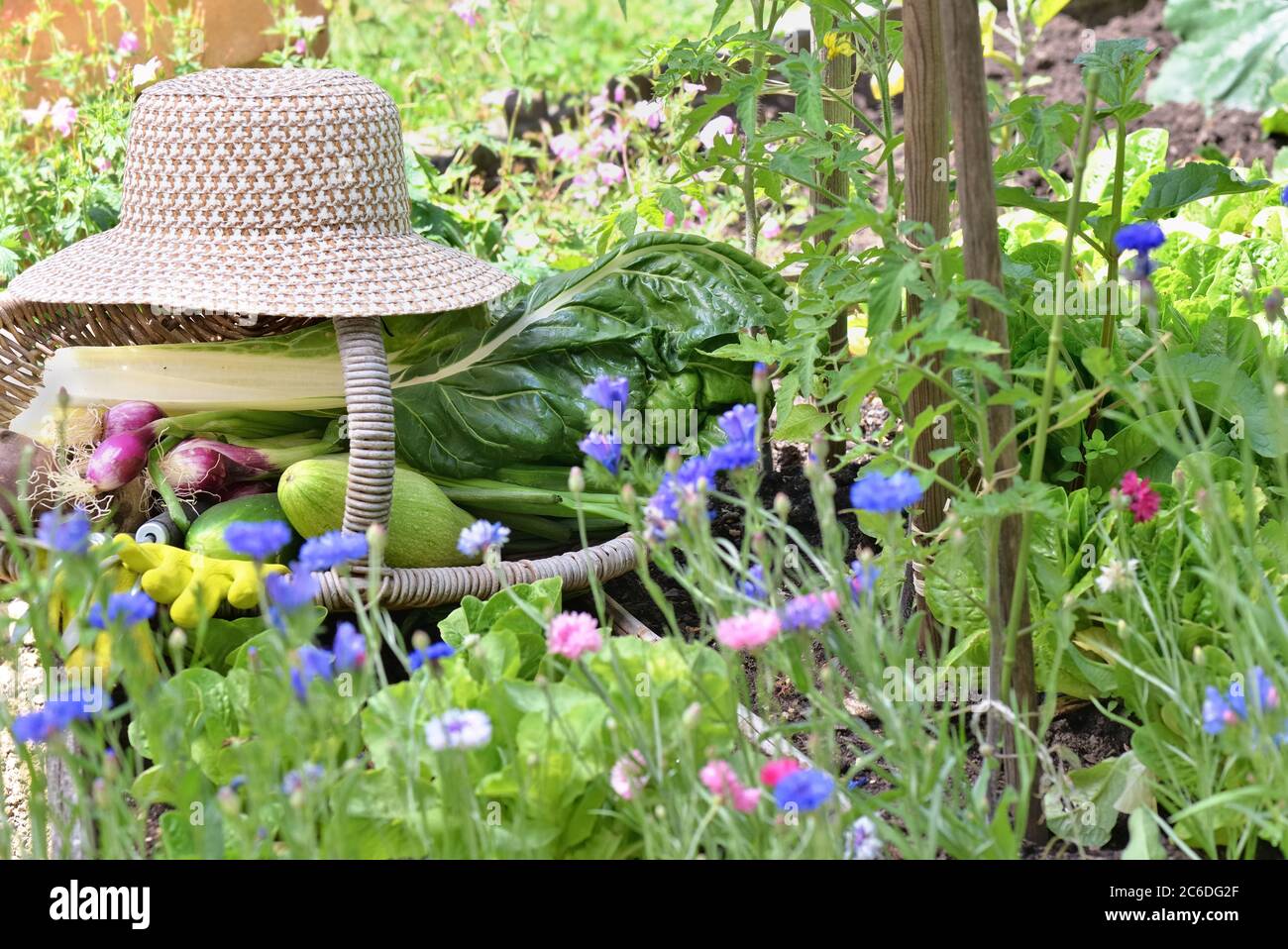 fresh vegetables in a wicker basket with hat placed in a flowered ...
