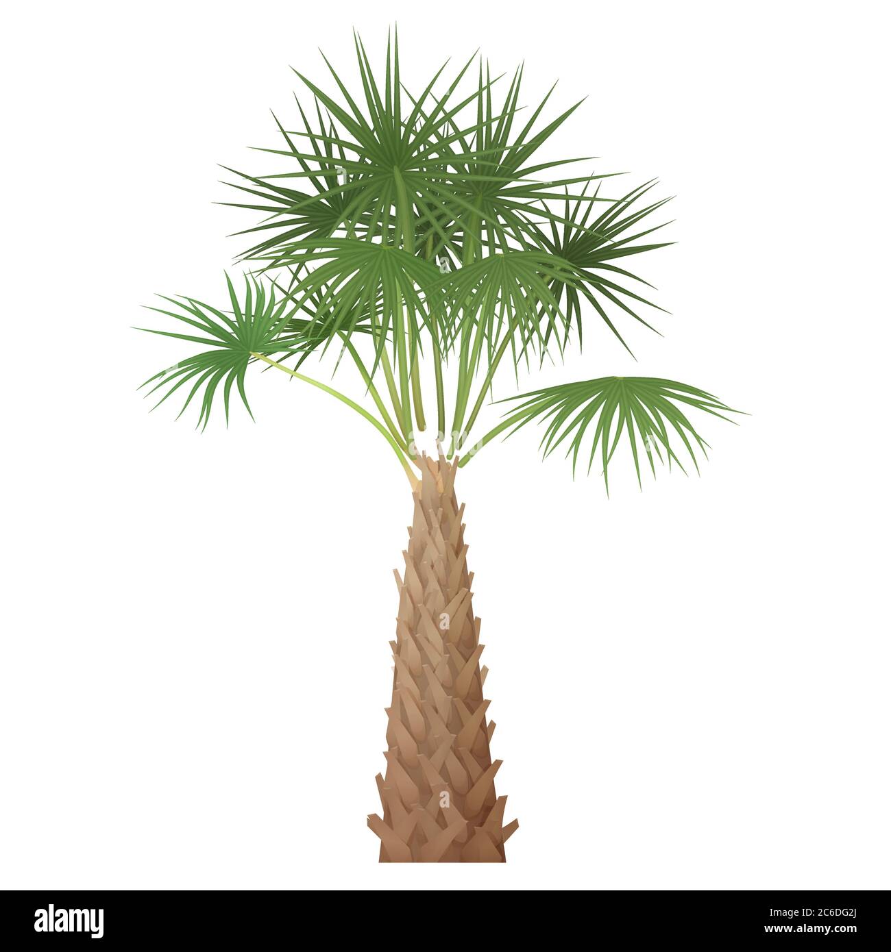 Stylized icon palm tree hi-res stock photography and images - Alamy
