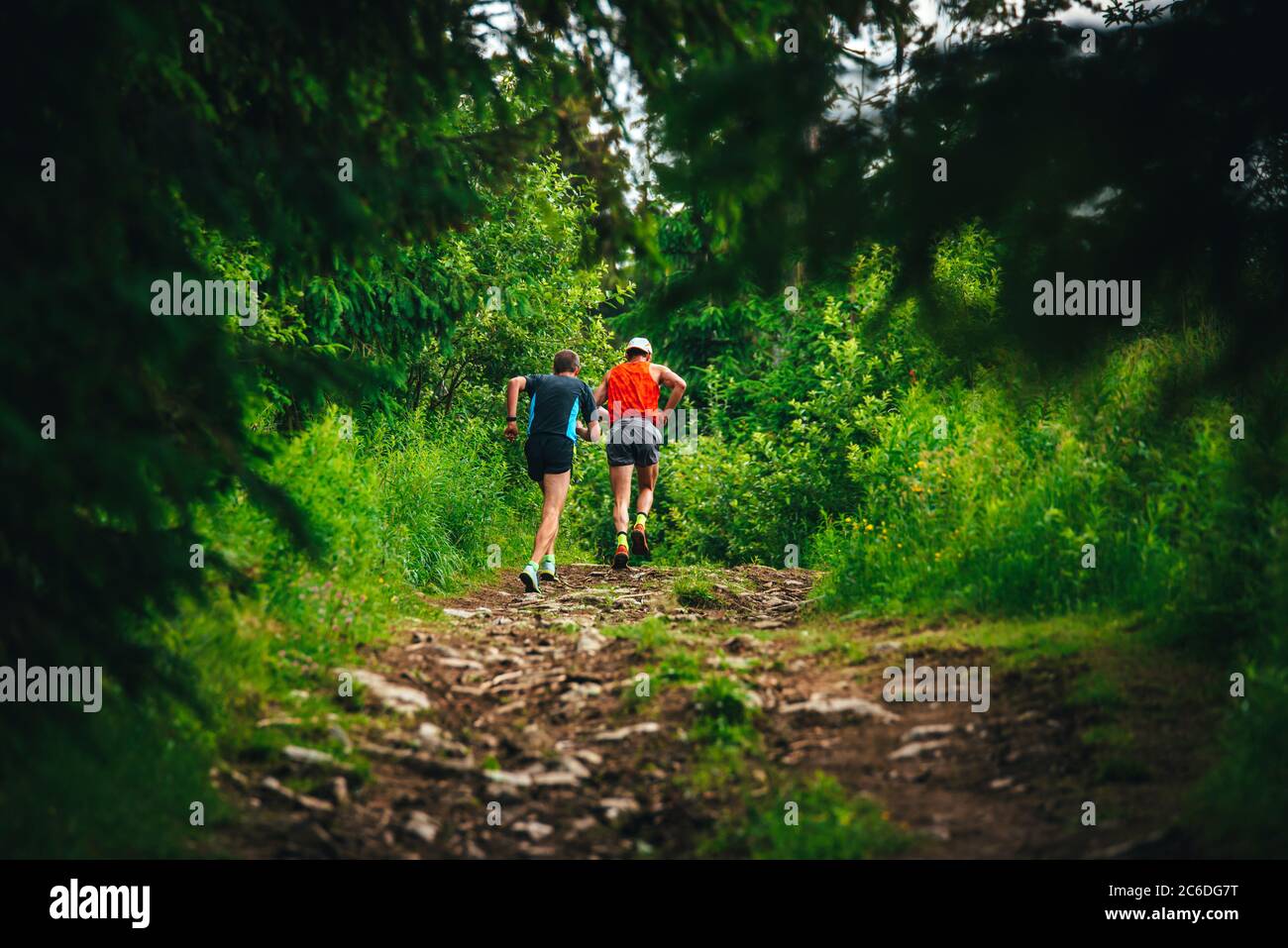 Trail running race, athletes in the forest Stock Photo - Alamy