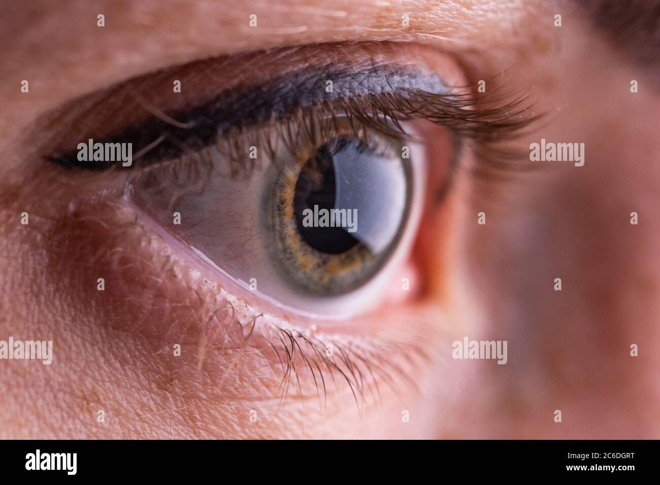 Eye close up view hi-res stock photography and images - Alamy