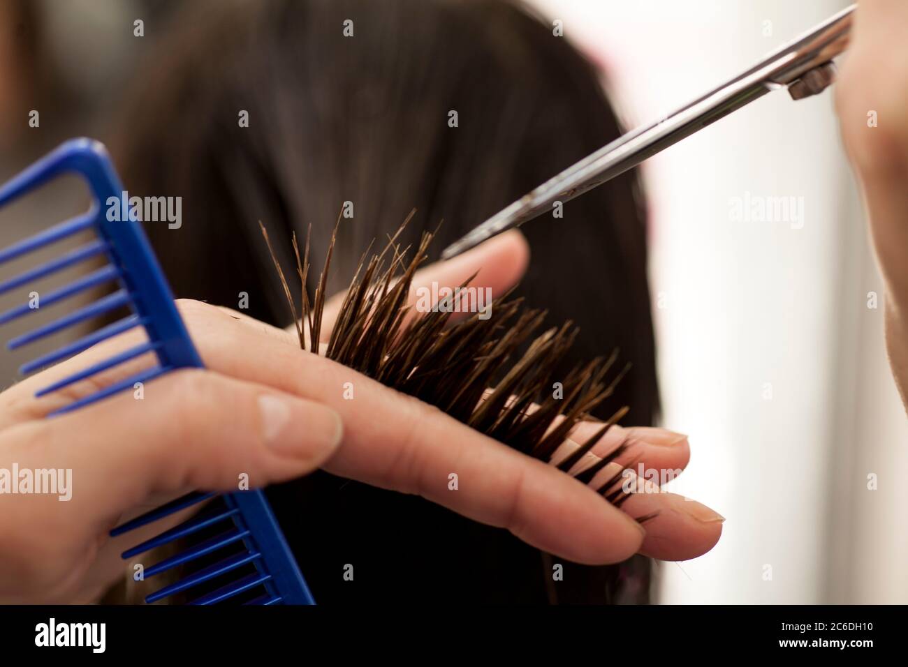 hairdresser cut the hair with scissors Stock Photo - Alamy