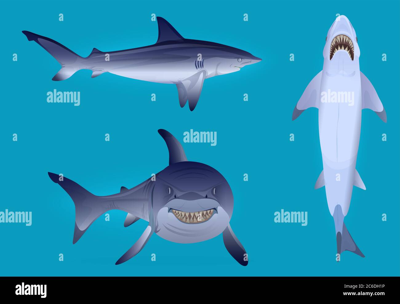 Vector Hungry agressive and scary shark fish silhouette set Stock ...