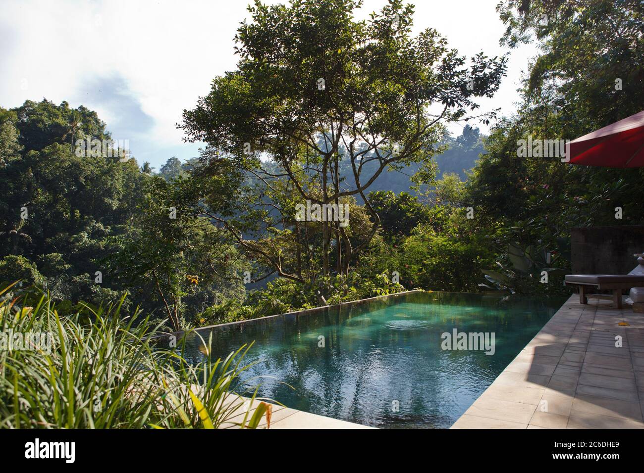 Infinity pool jungle bali hi-res stock photography and images - Alamy