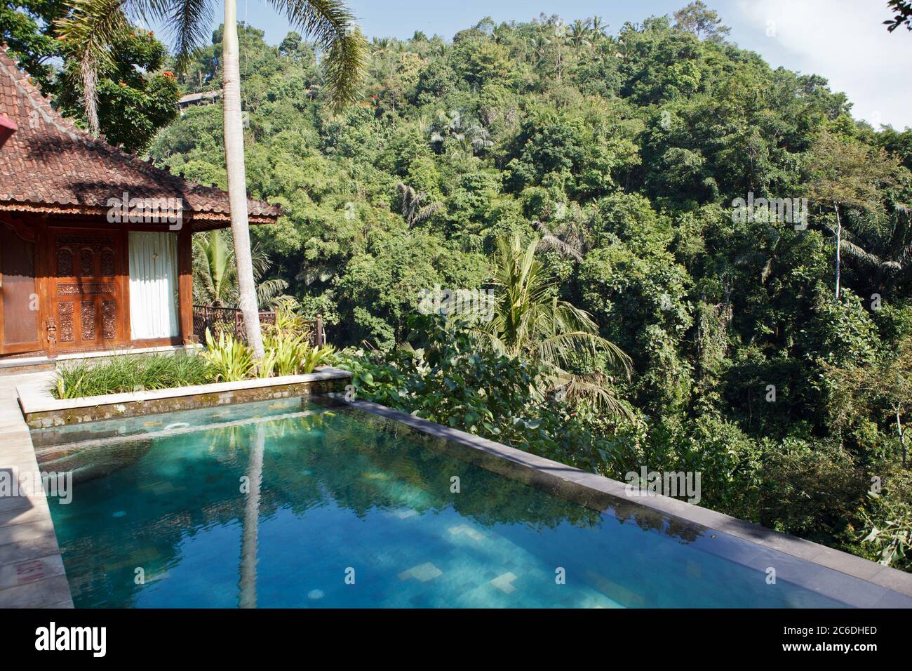 Infinity pool jungle bali hi-res stock photography and images - Alamy