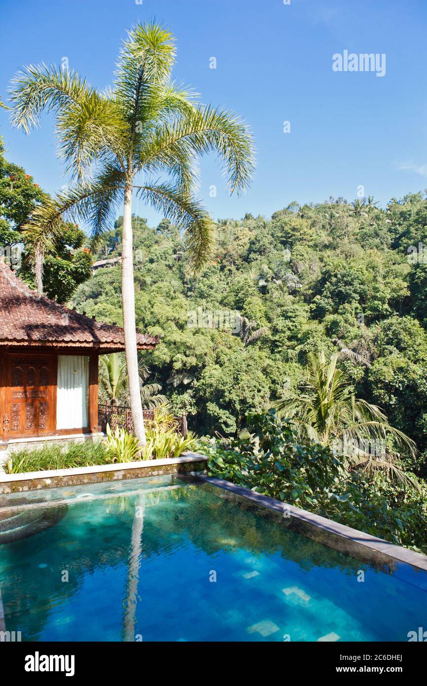 Infinity pool jungle bali hi-res stock photography and images - Alamy