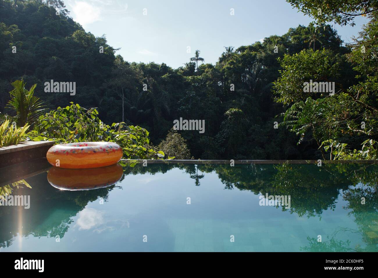 inflatable ring at the tropic jungle pool Stock Photo - Alamy