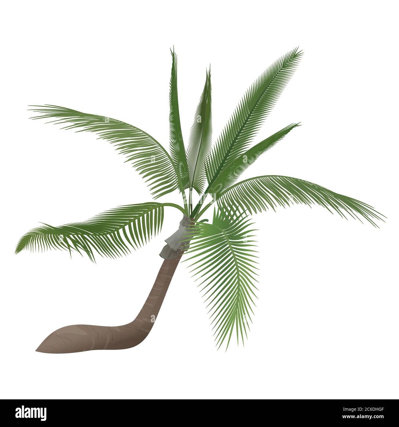 One single palm tree Stock Vector Images - Alamy