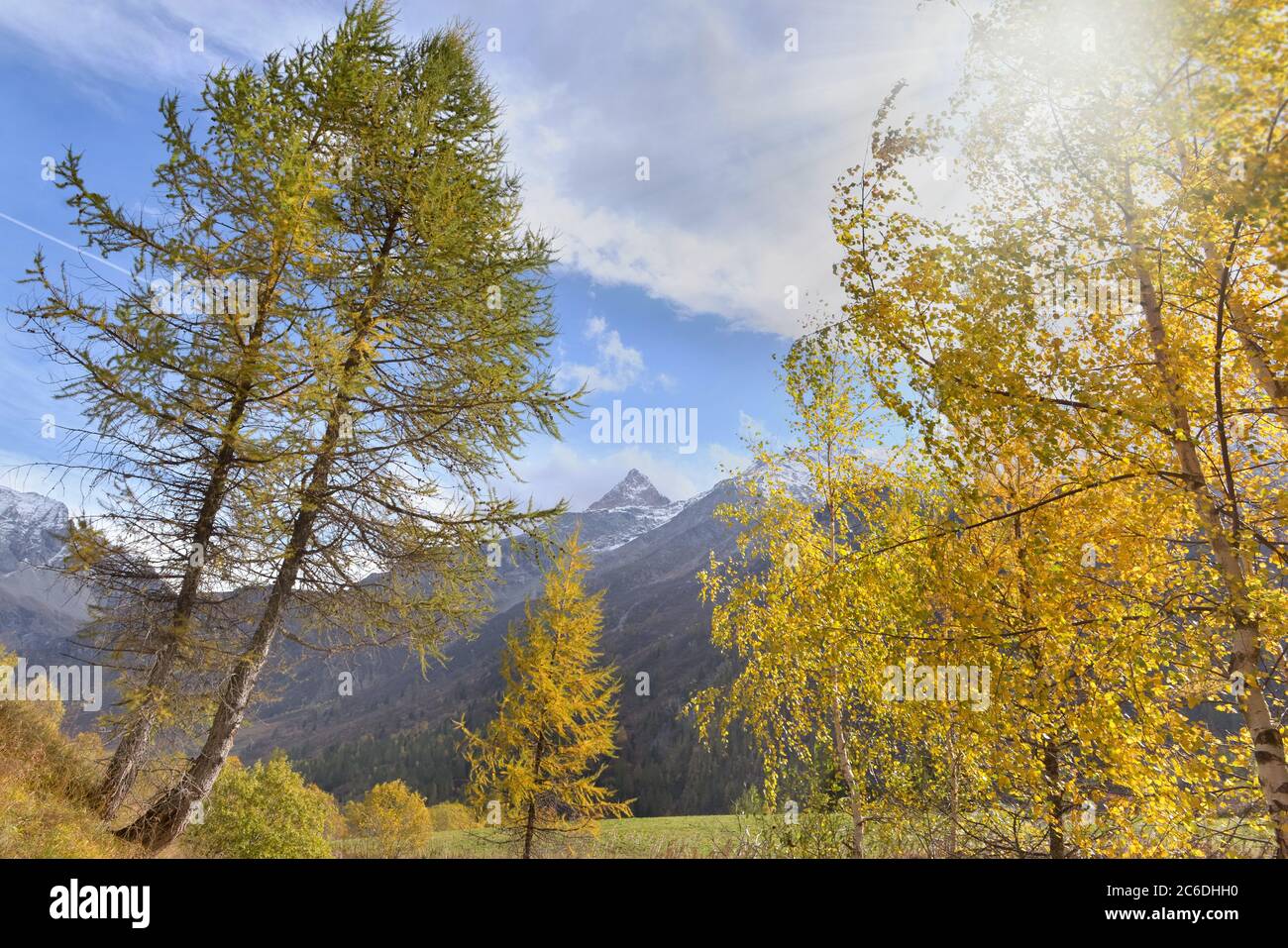 Beautiful golden foliage hi-res stock photography and images - Alamy
