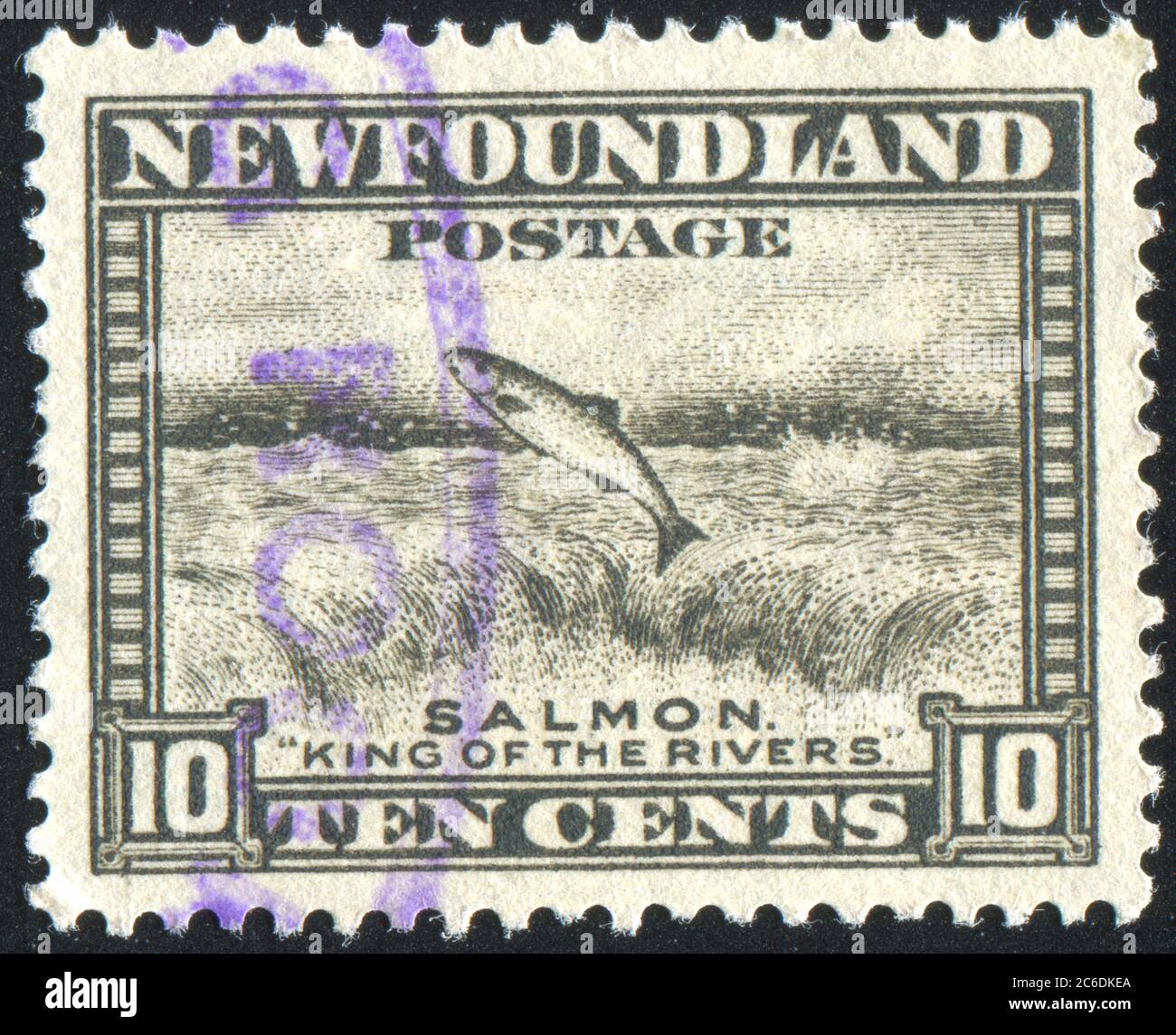 NEWFAUNDLAND - CIRCA 1935: stamp printed by Newfoundland, shows Salmon ... NEWFAUNDLAND - CIRCA 1935: stamp printed by Newfoundland, shows Salmon ...