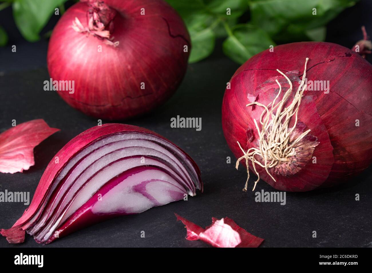 Still life of a two onions and a slice and a green leafs on the ...