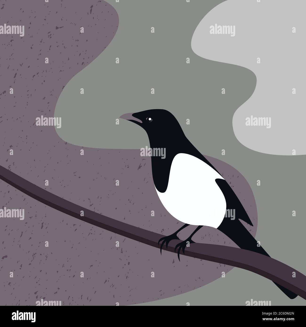Magpie illustration abstract hi-res stock photography and images - Alamy