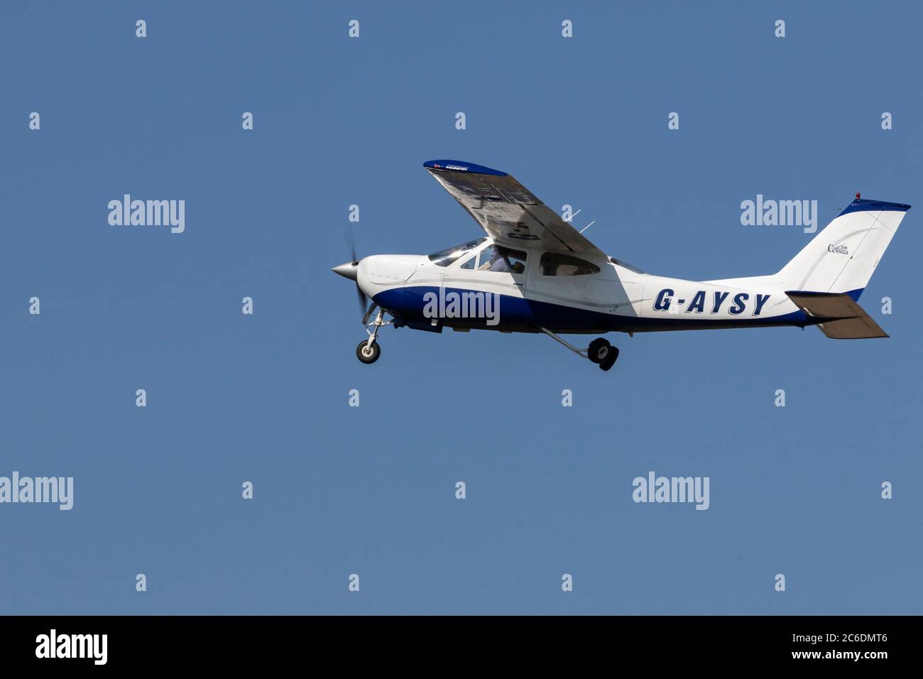 Cardinal rg hi-res stock photography and images - Alamy