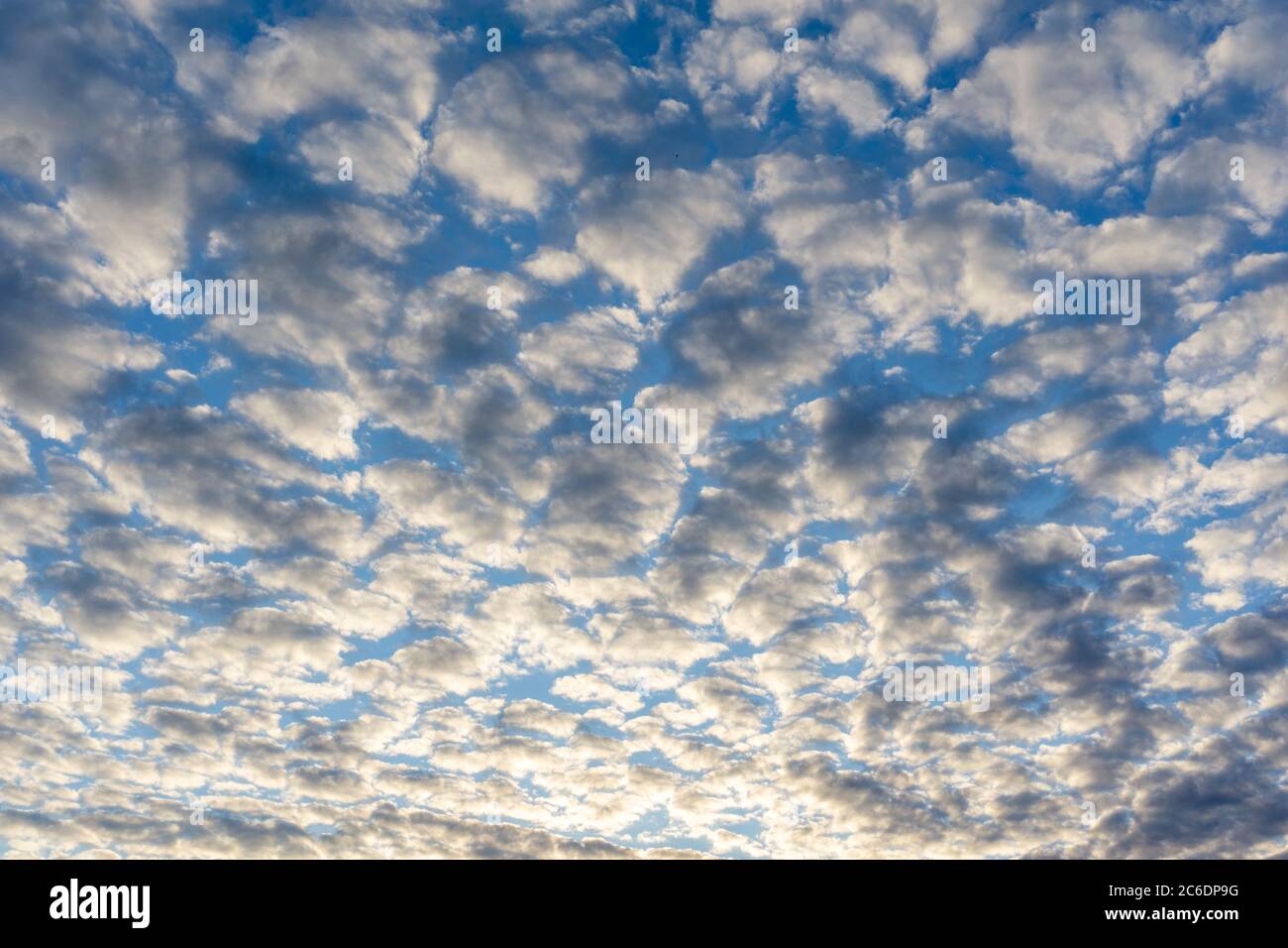 A happy sky background with small cumulus clouds in golden evening ...