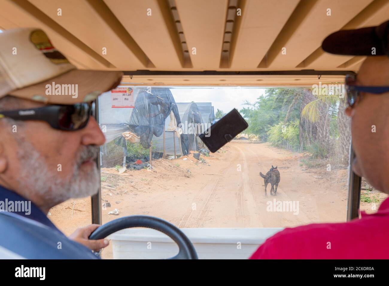 An Israeli farmer inspects his farmland Photographed in Haniel [a ...