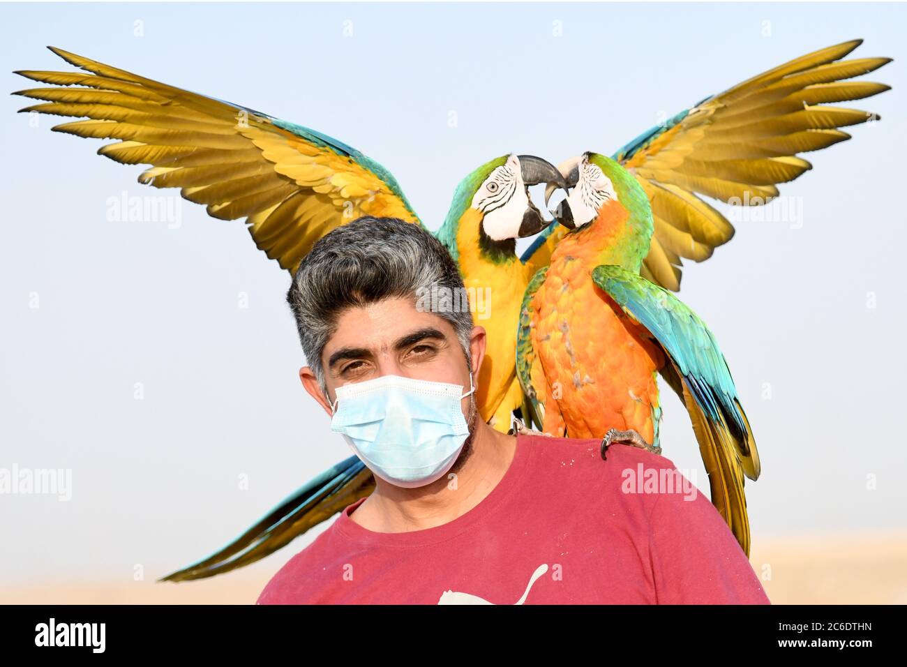 Parrot poses hi-res stock photography and images - Alamy