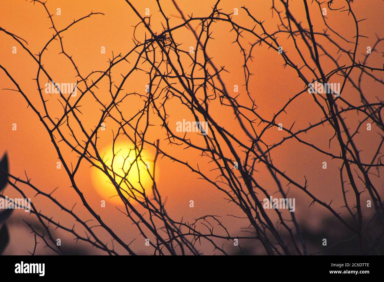 Season view spring summer hi-res stock photography and images - Alamy