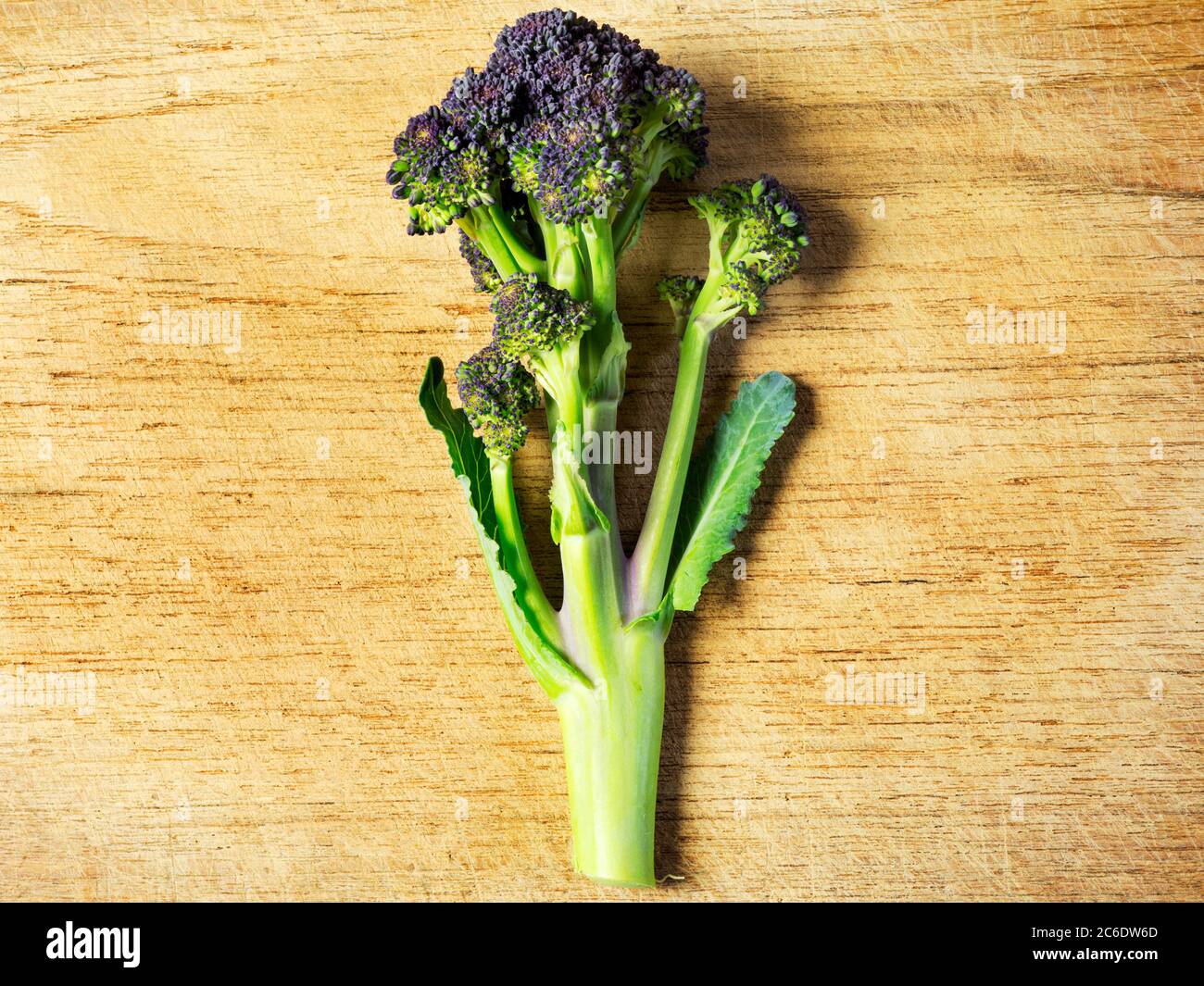 One stalk of purple spouting broccoli centred on a wooden chopping ...