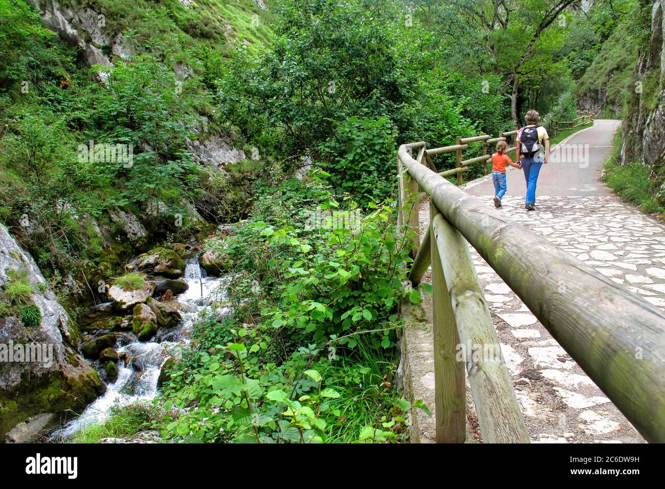 Trekking througth Hills and Valleys, Redes Natural Park, Asturias ...