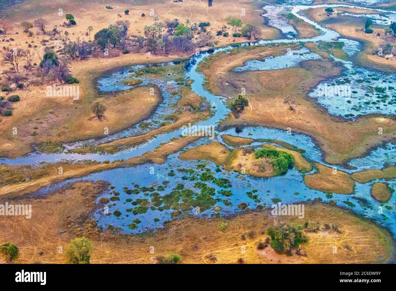 Aerial view, Okavango Delta, Botswana, Africa Stock Photo - Alamy