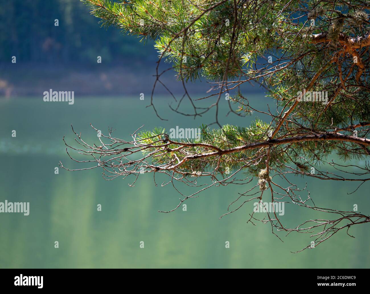 Beautiful lake Berovo in mountain panorama landscape Stock Photo - Alamy