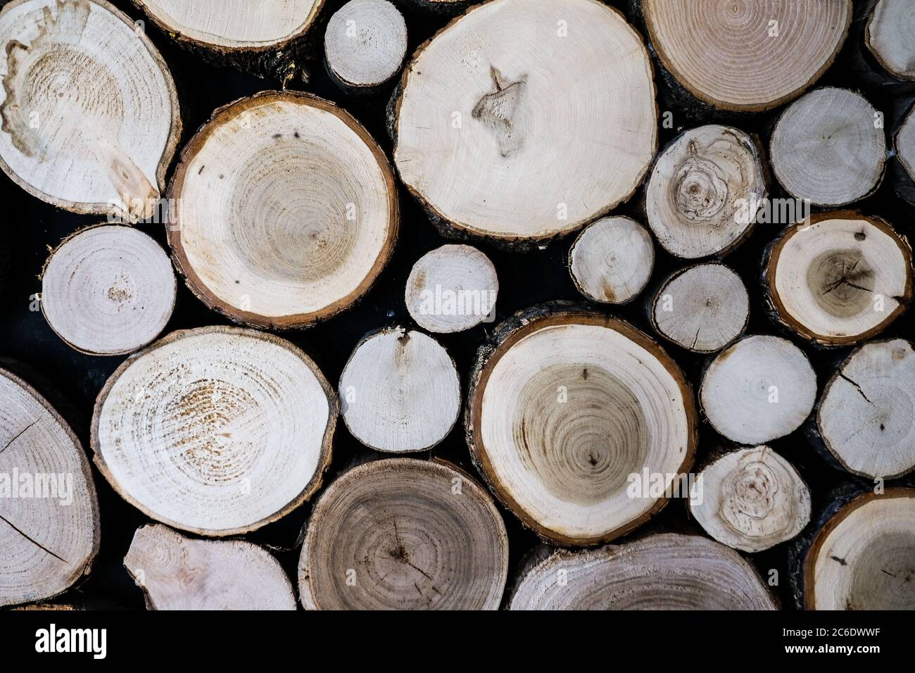 Wooden Logs For Decoration