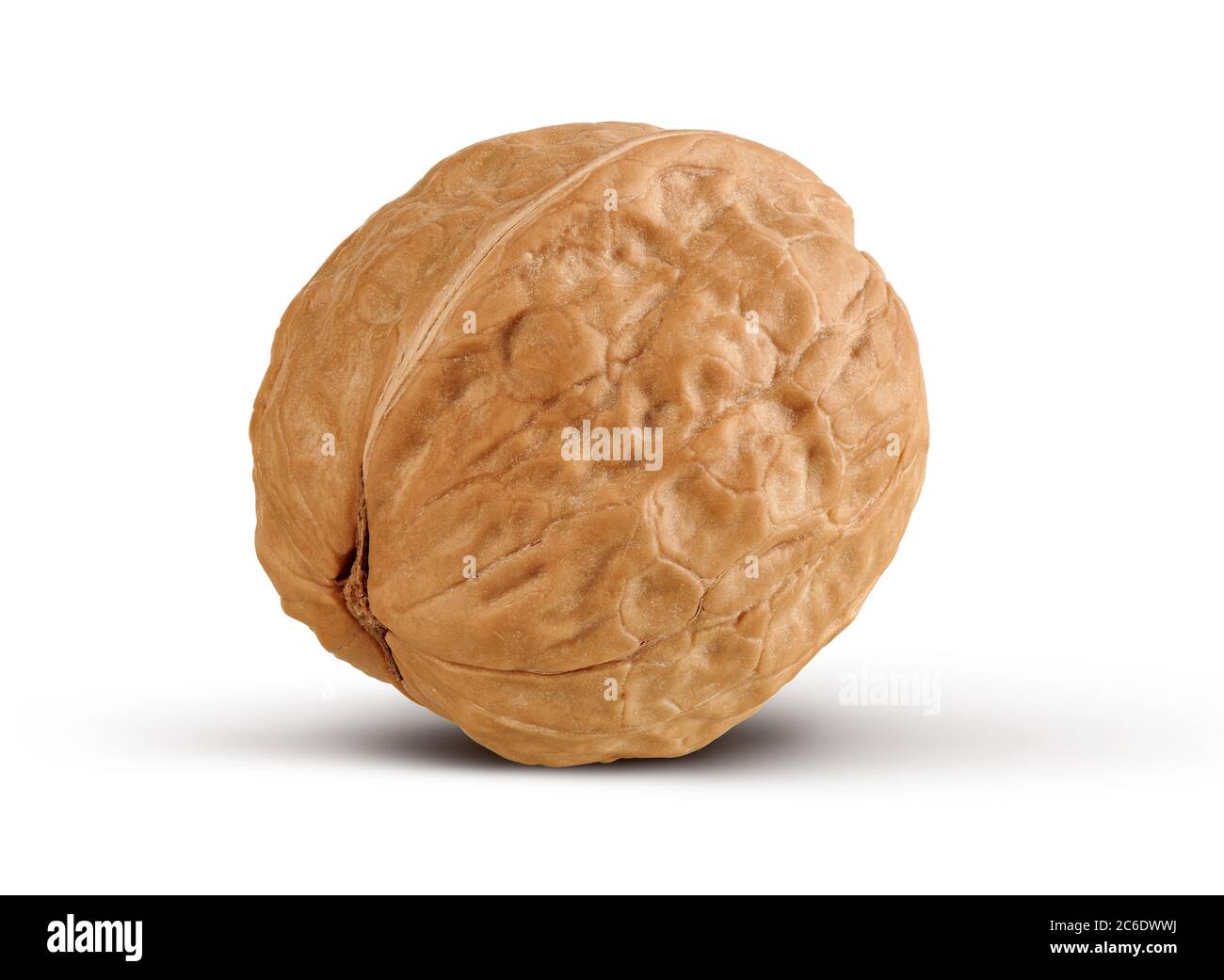 whole walnut isolated on white background. Clipping path Stock Photo ...