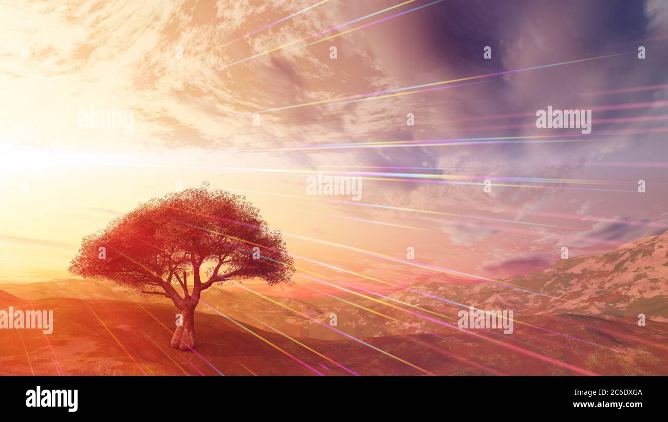 sunset at meadow and lonely tree, 3d render illustration Stock Photo ...