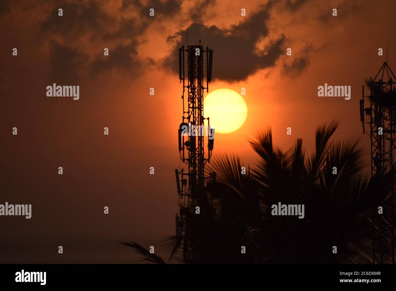 Chennai trees hi-res stock photography and images - Alamy