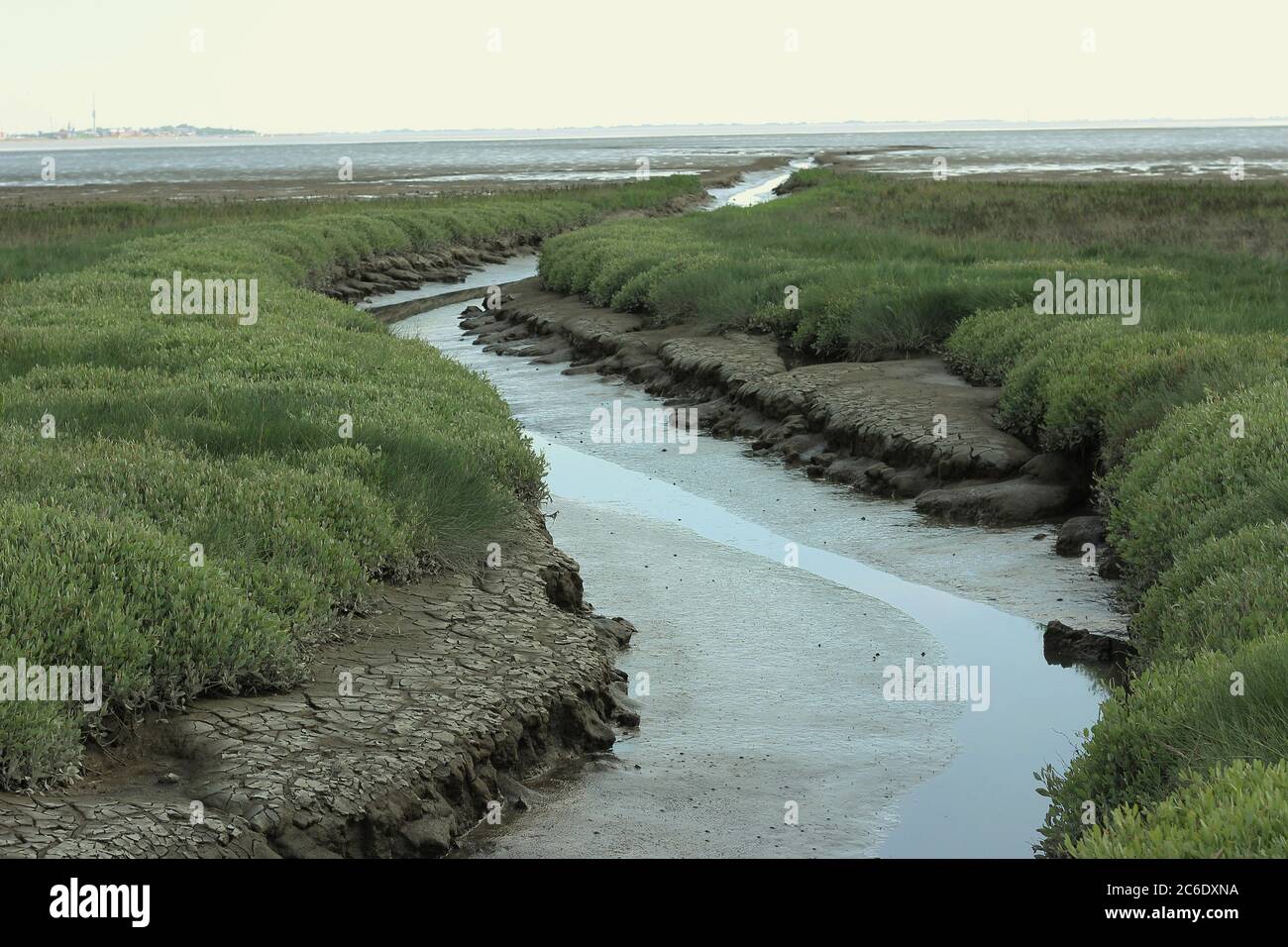 Tidal creek during low tide in a saltmarsh near Cäciliengroden ...