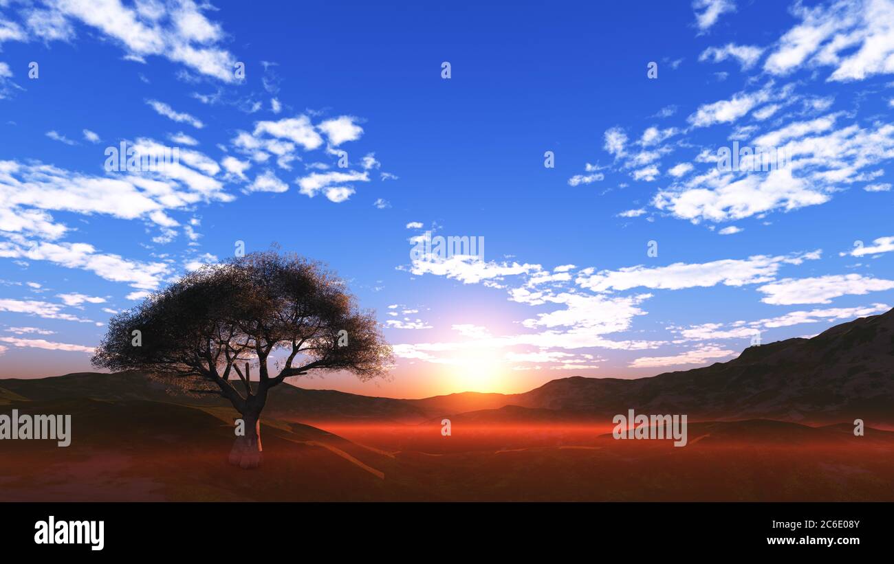 sunset at meadow and lonely tree, 3d render illustration Stock Photo ...