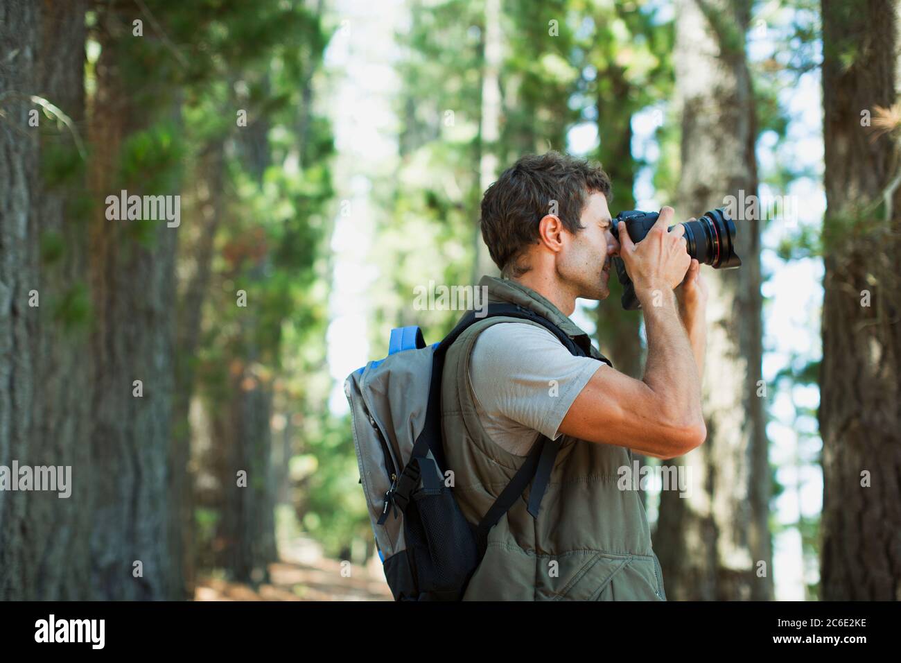 Using the woods hi-res stock photography and images - Alamy